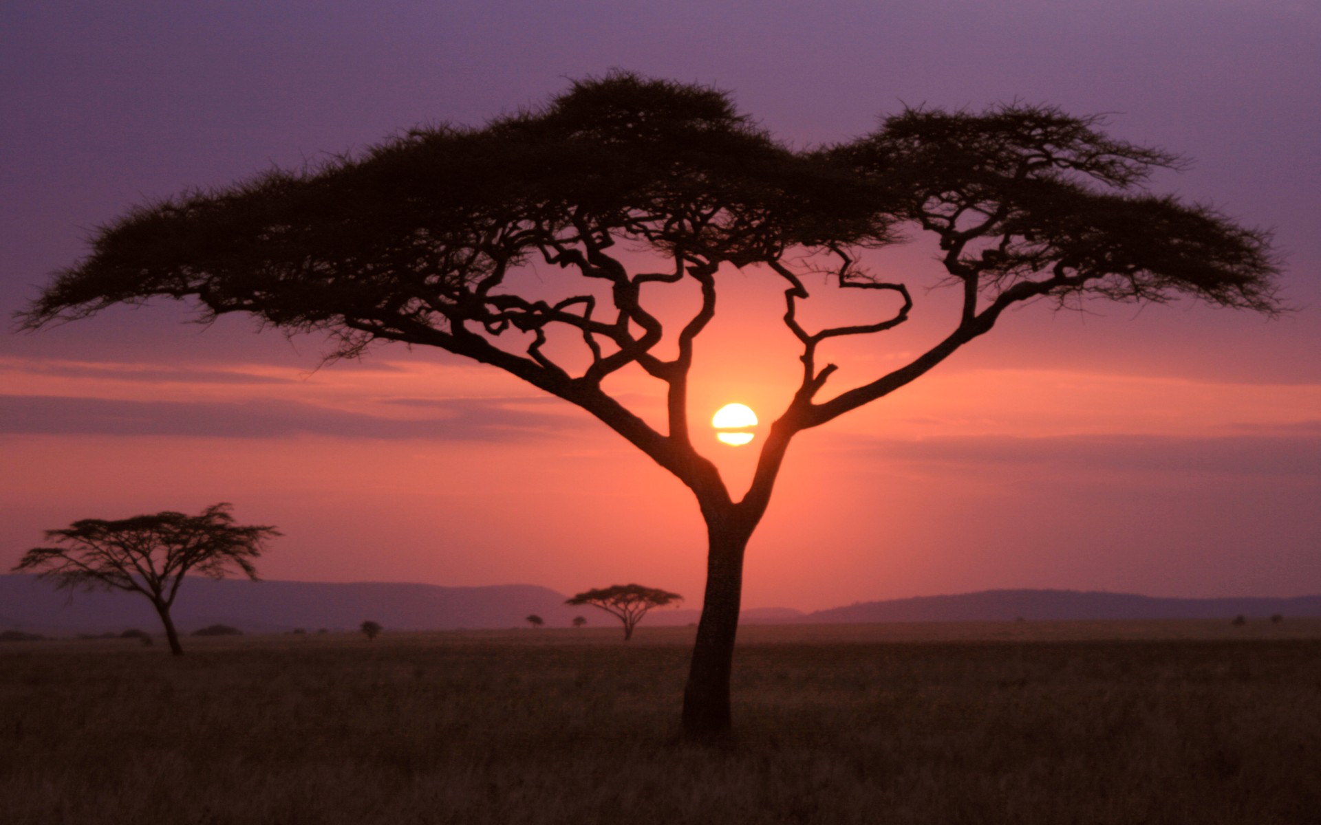 National Geographic Wallpaper Set 2 – Awesome Wallpapers