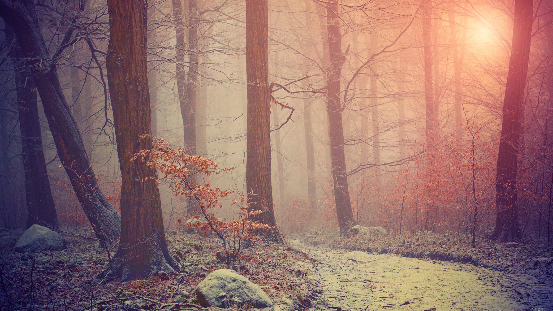 Nature Wallpaper Set 86 – Awesome Wallpapers