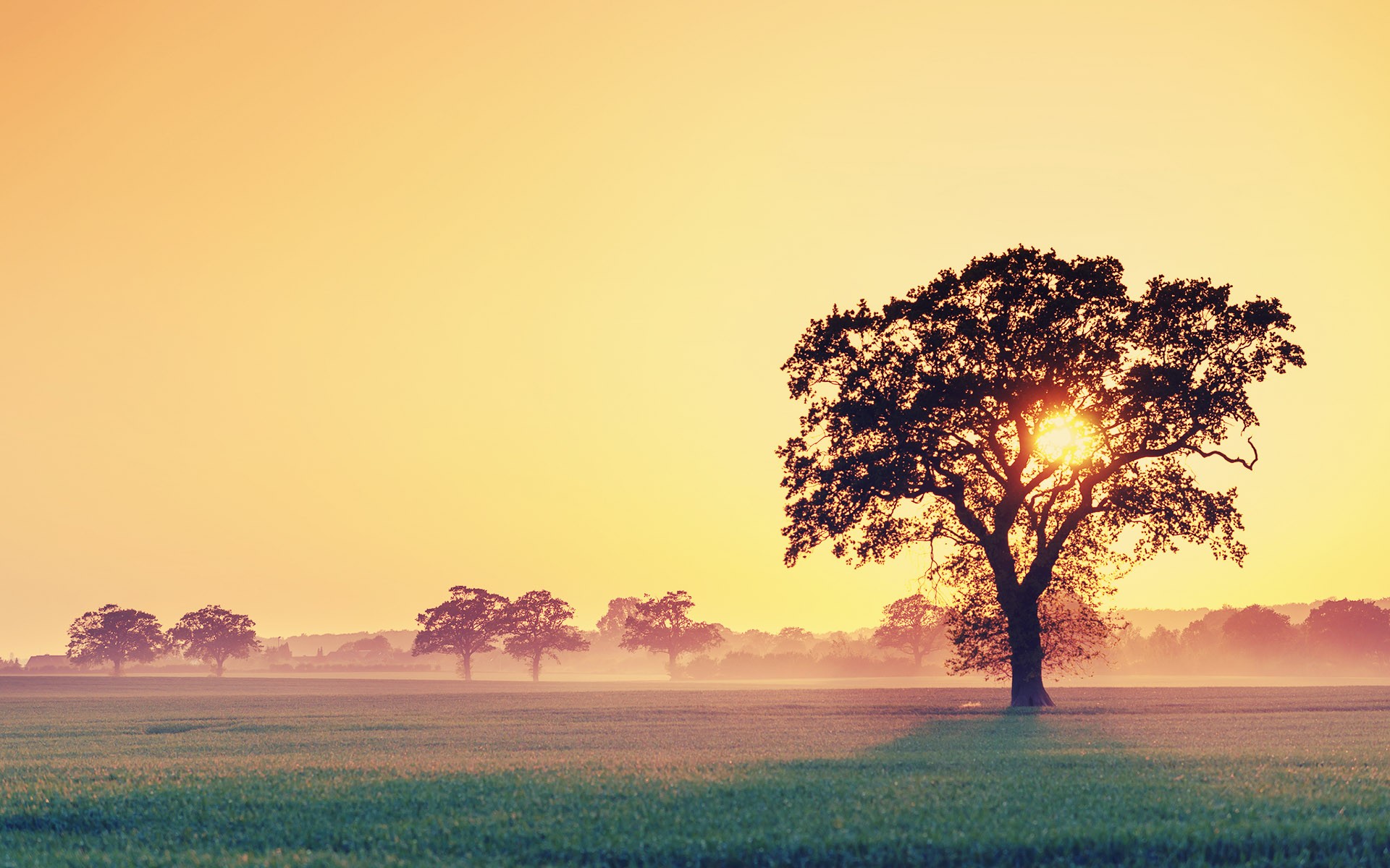 Nature Wallpaper Set 86 – Awesome Wallpapers