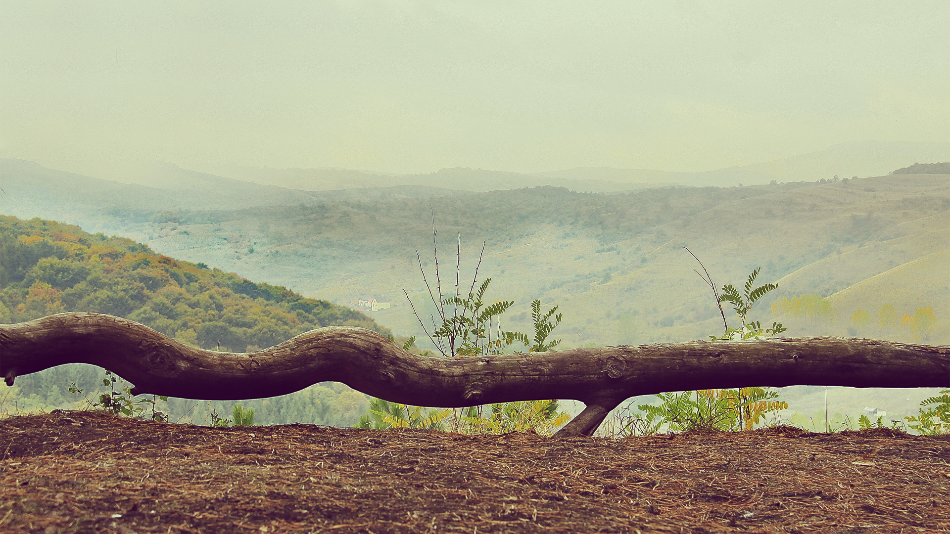 Nature Wallpaper Set 89 – Awesome Wallpapers