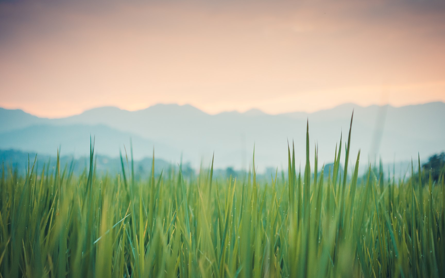Nature Wallpaper Set 90 – Awesome Wallpapers